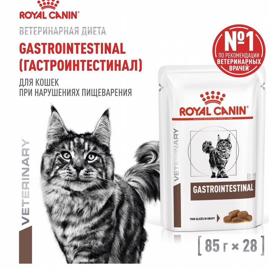 Влажный корм для кошек royal canin