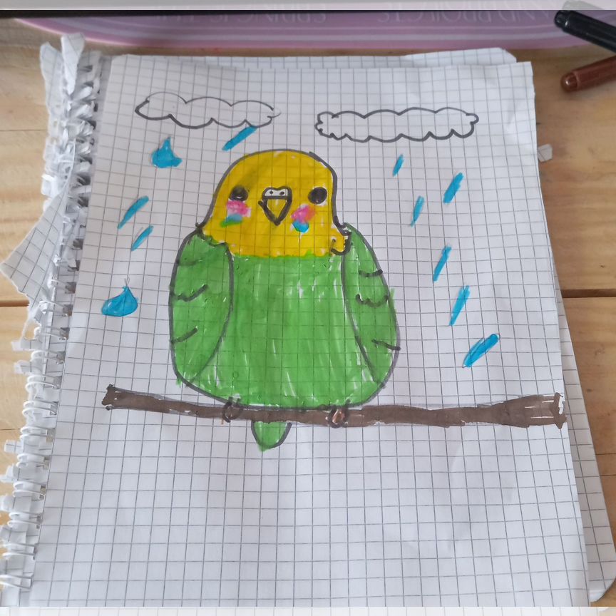 Милый попугайчик